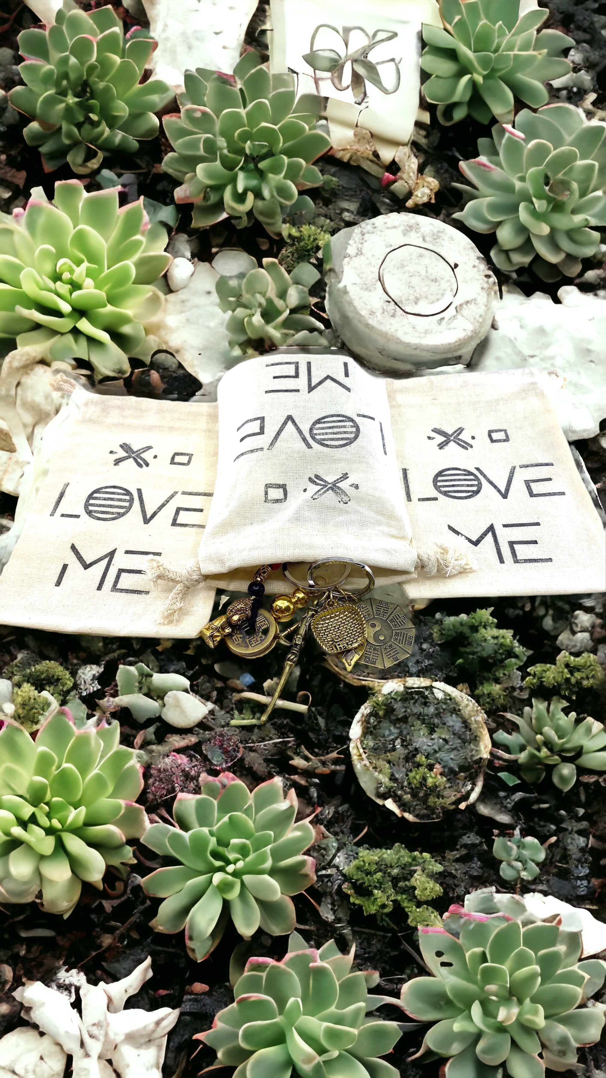 Everyday Earth Day – Sunsum® Intentional Living